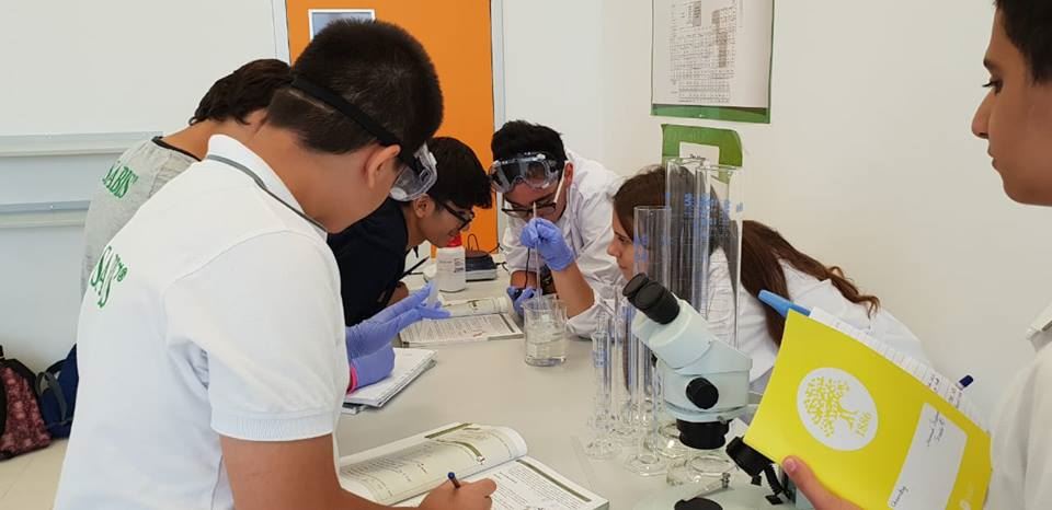 SABIS® SUN’s New Facilities - SABIS® SUN International School — Baku ...